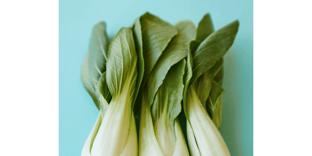 The Health Benefits of Eating Cabbage in South Africa - Eating Plant-Based
