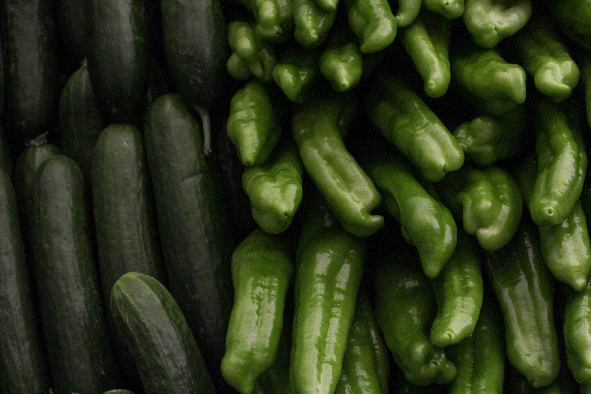 Cucumber Health Benefits and Side Effects - Eating Plant-Based