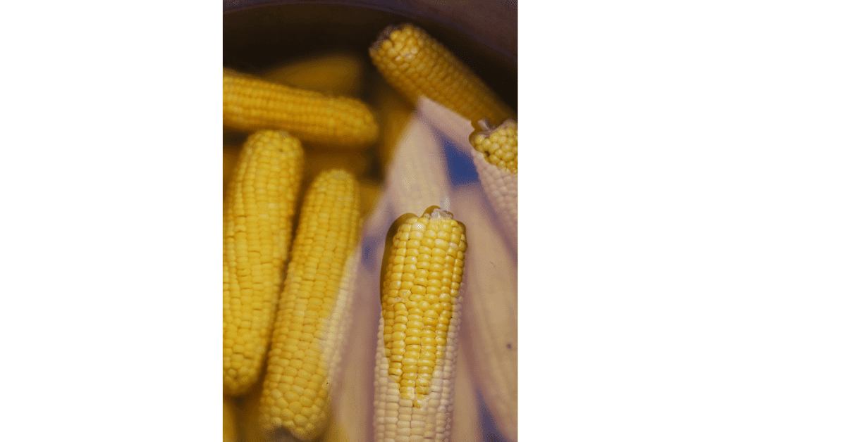 Plant-Based Boiled Green Maize Recipe - Eating Plant-Based
